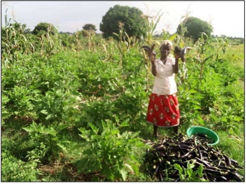 POSHU Update July 2023 - Poshu